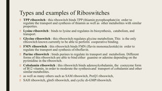 Riboswitches and riboswitches mediated regulation | PPTX