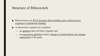 Riboswitches and riboswitches mediated regulation | PPTX