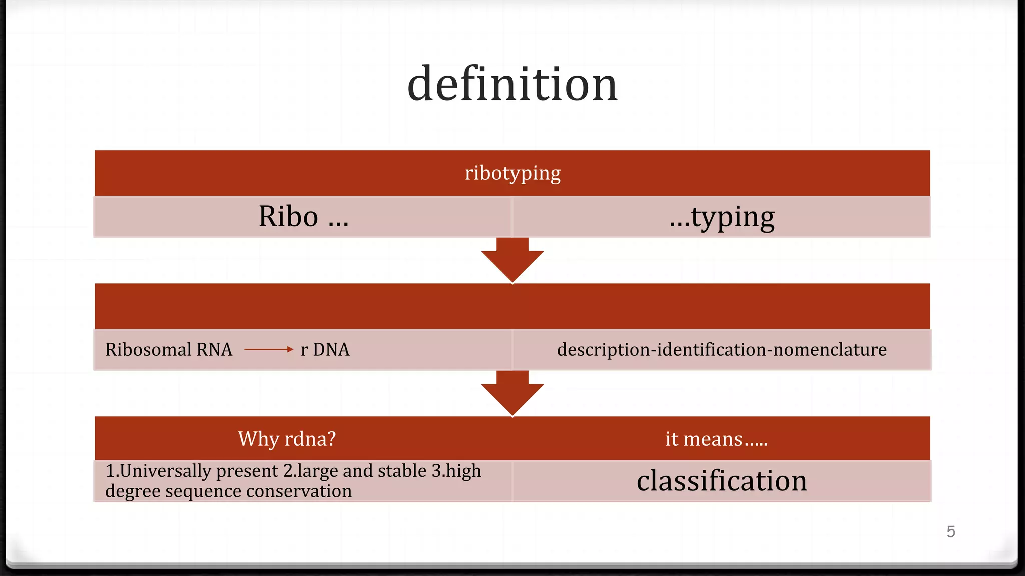 Ribotyping | PPTX