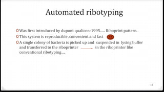 Ribotyping | PPTX