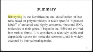 Ribotyping | PPTX