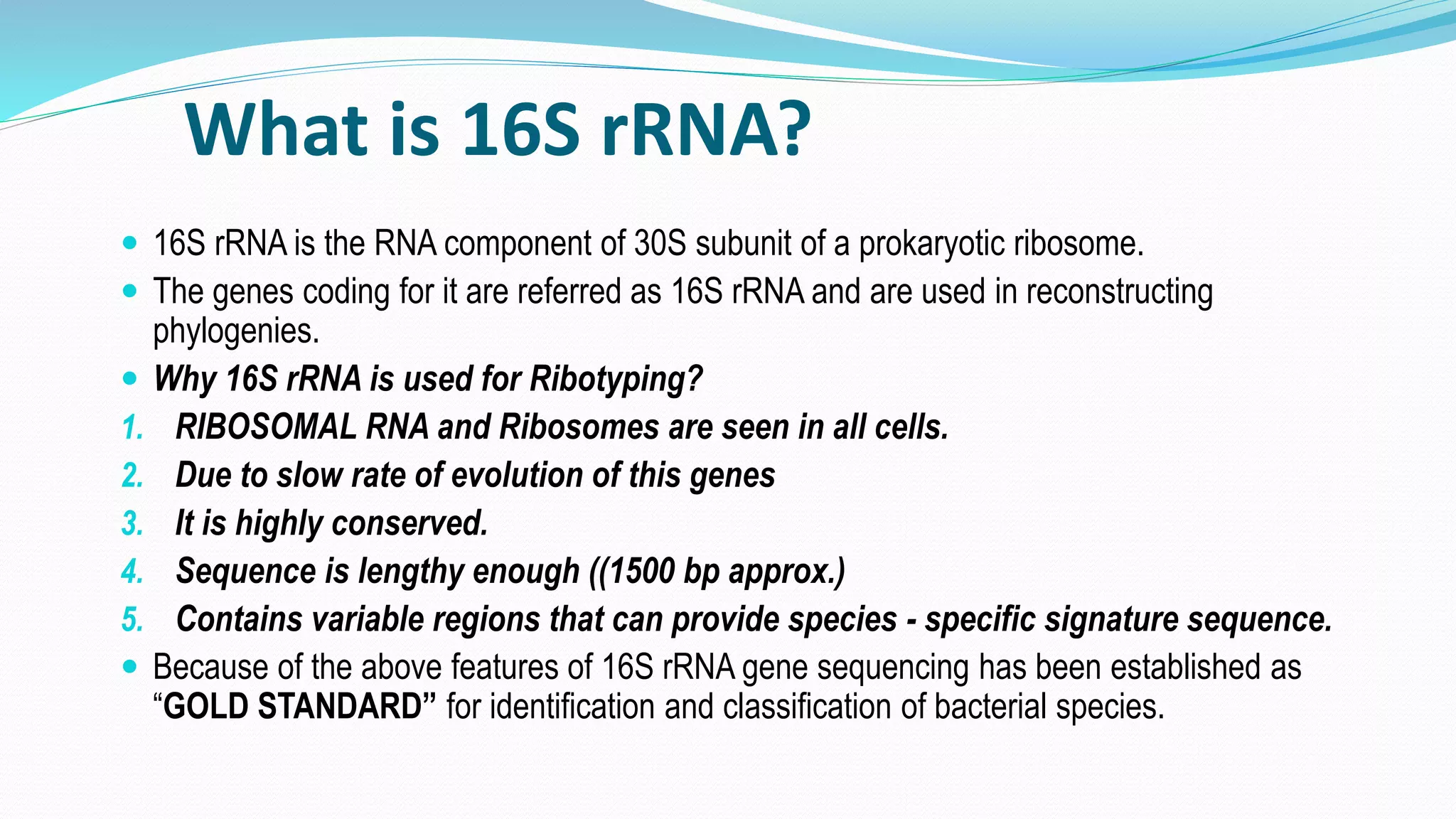 RIBOTYPING | PPTX