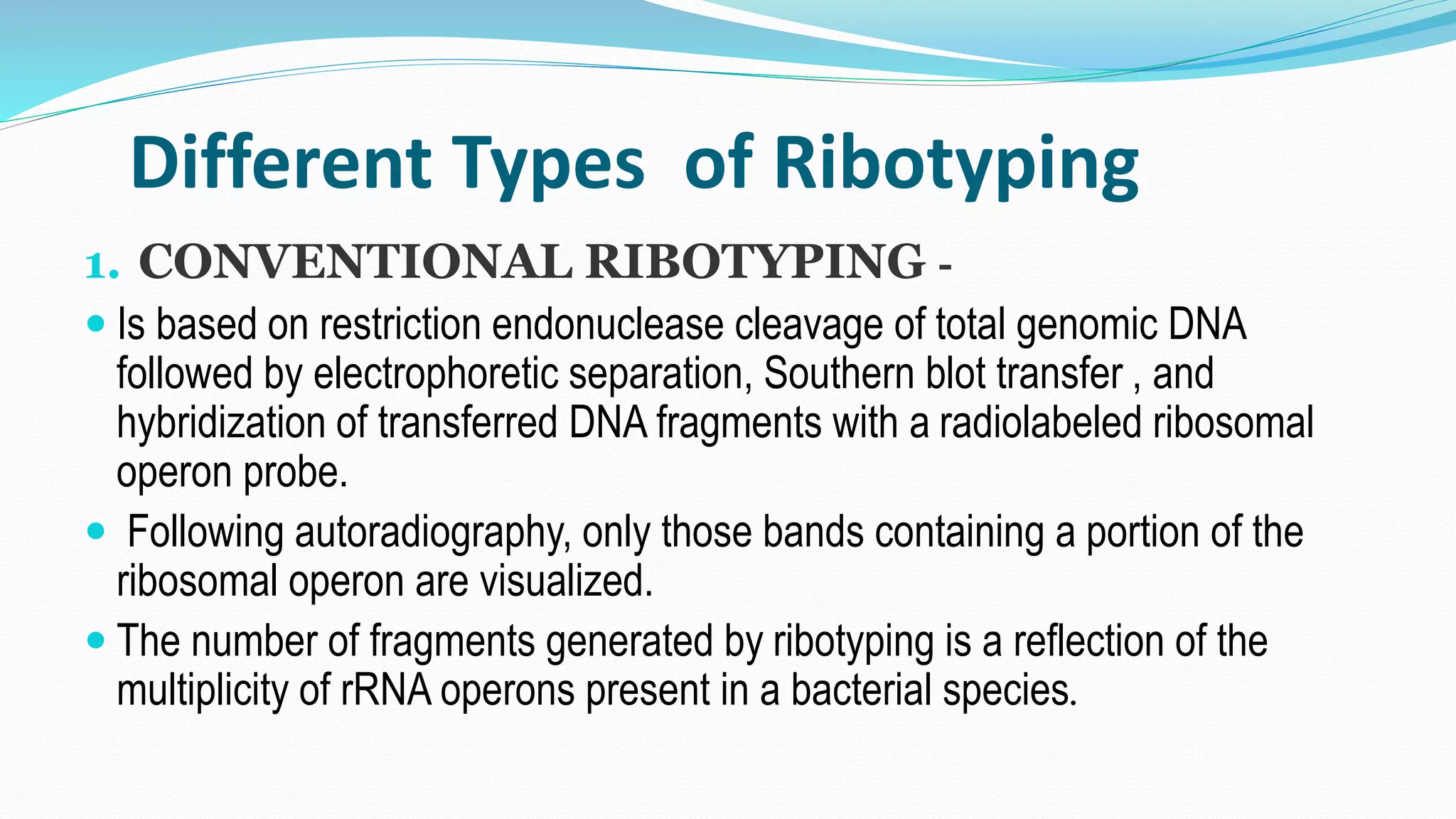 RIBOTYPING | PPTX