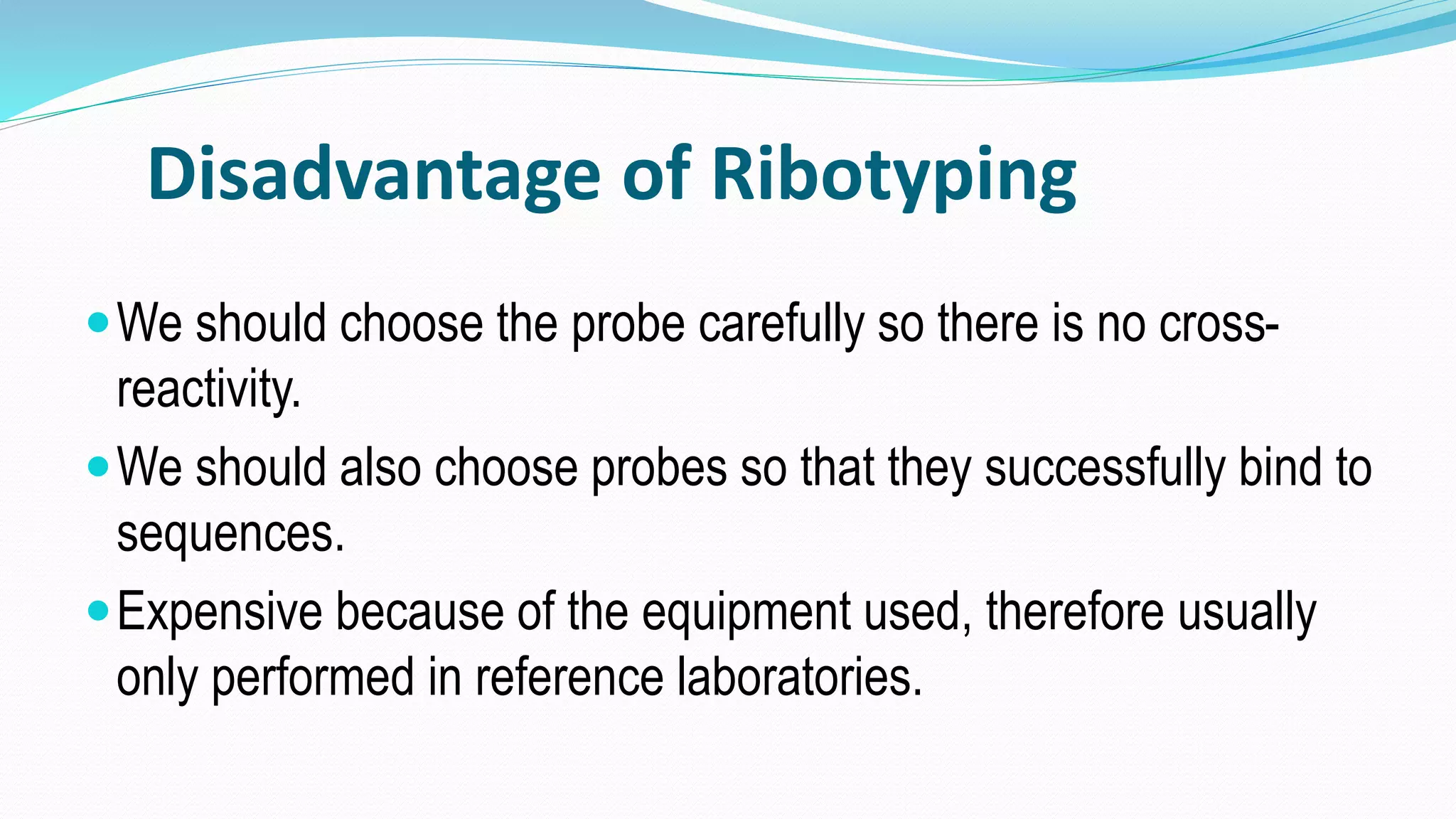 RIBOTYPING | PPTX