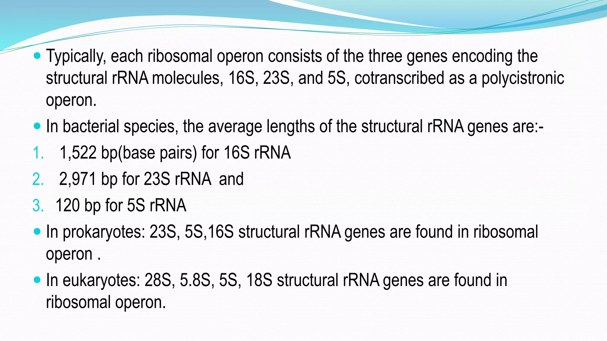RIBOTYPING | PPTX