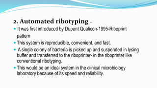 RIBOTYPING | PPTX