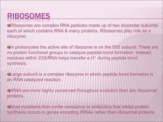 Ribozyme by KK Sahu sir | PPT