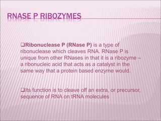 Ribozyme by KK Sahu sir | PPT