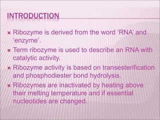 Ribozyme by KK Sahu sir | PPT