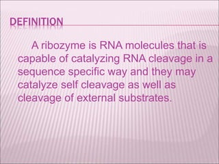 Ribozyme definition online
