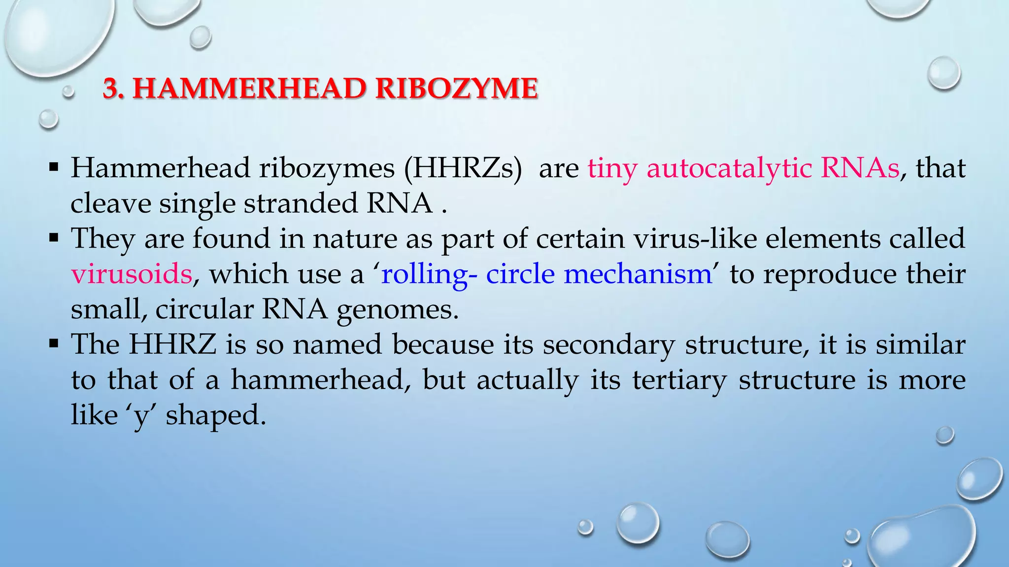 Ribozyme | PPTX