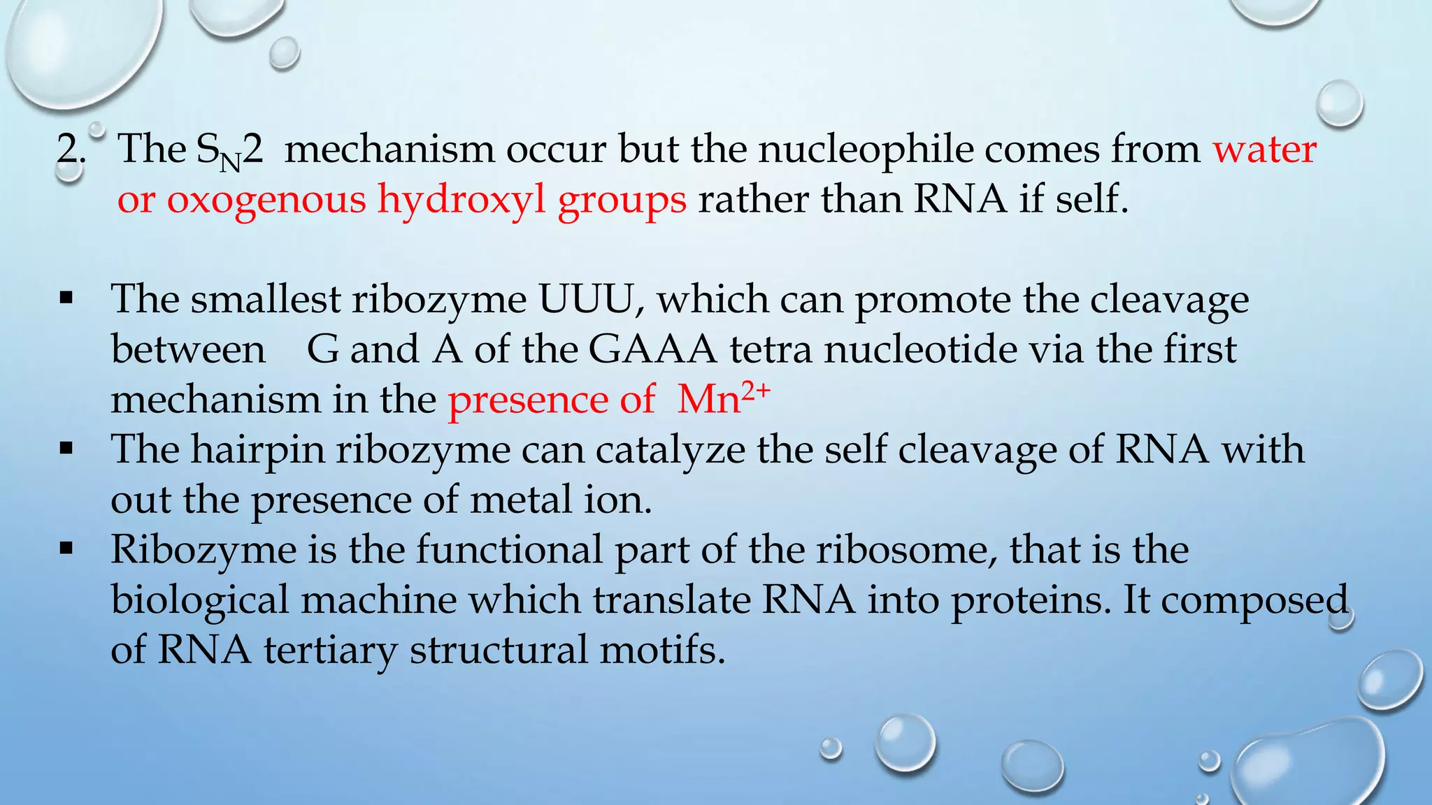 Ribozyme | PPTX
