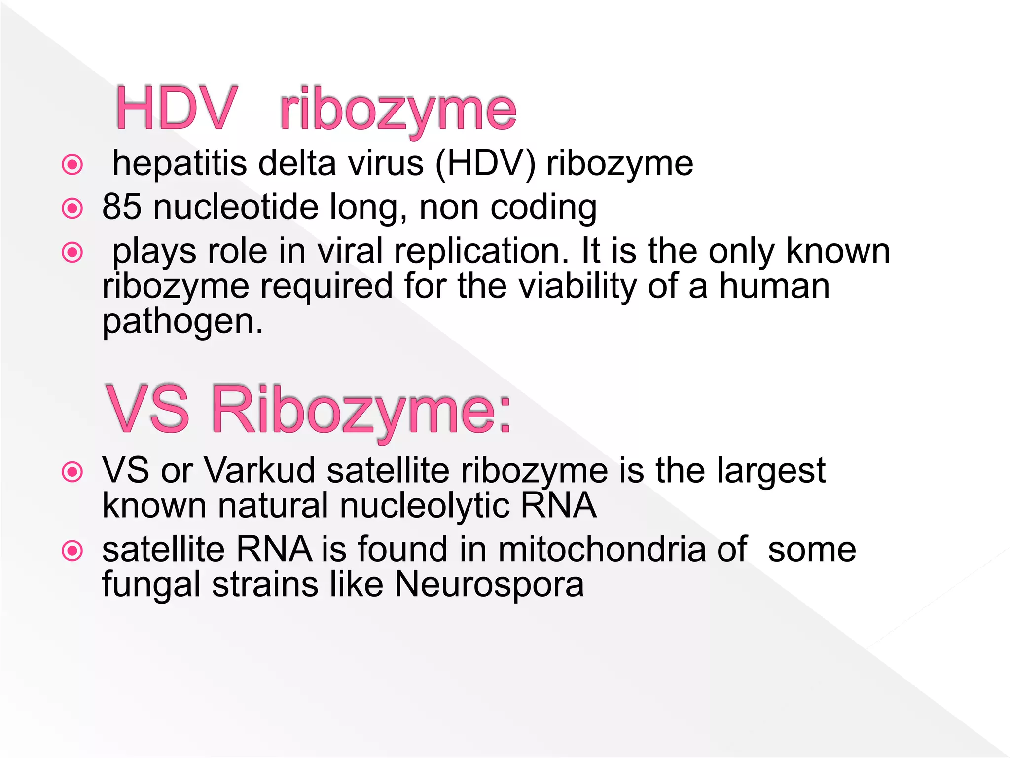 Ribozyme | PPTX