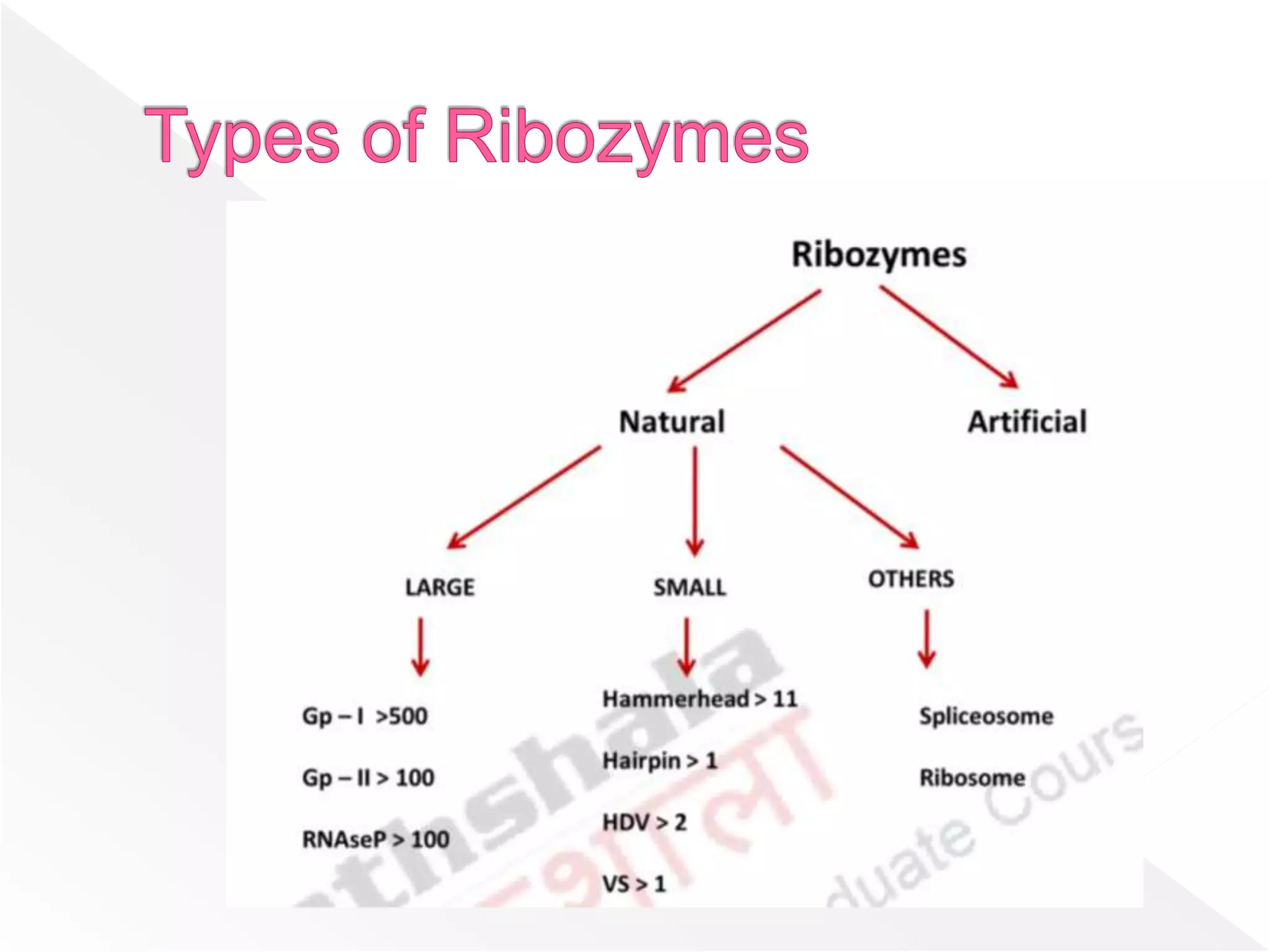 Ribozyme | PPTX