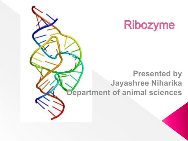 Ribozyme | PPTX | Biological Sciences | Science
