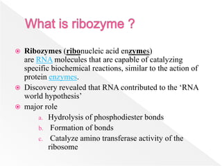Ribozyme | PPT
