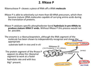 ribozyme.pptx