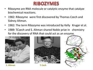 ribozyme.pptx
