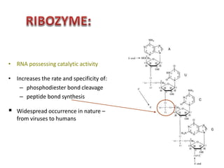 ribozyme.pptx