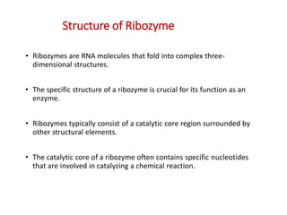 Ribozyme.pdf