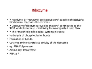 Ribozyme.pdf