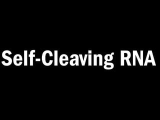 Ribozymes | PDF