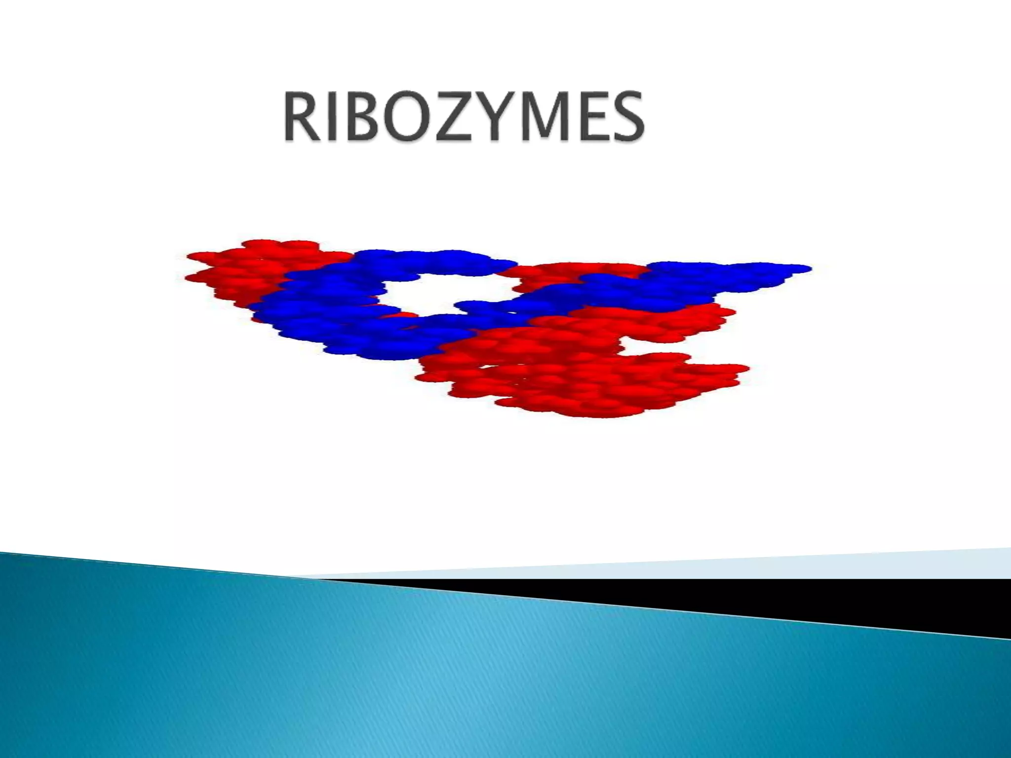 Ribozymes | PPTX