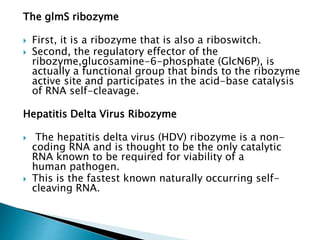 Ribozymes | PPTX