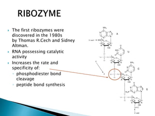 Ribozymes | PPTX