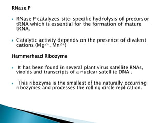 Ribozymes | PPTX