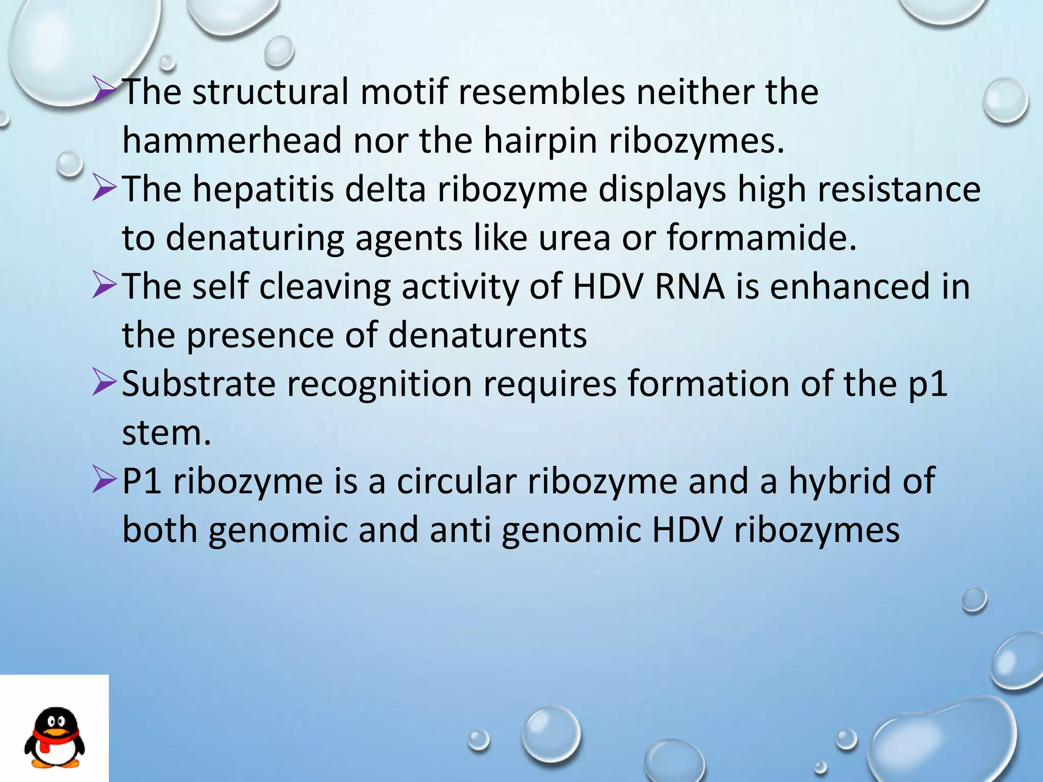 Ribozymes | PPTX