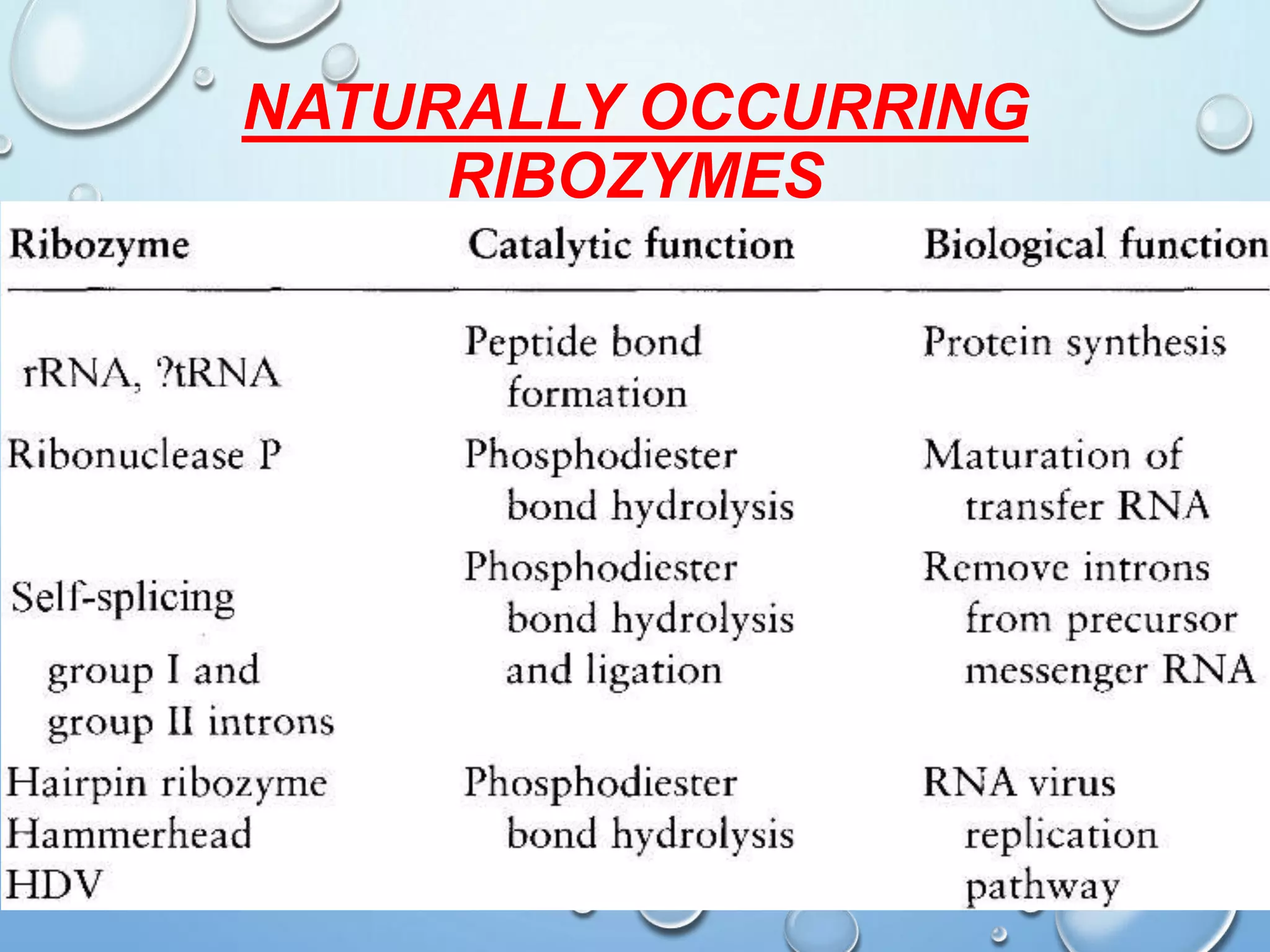 Ribozymes | PPTX