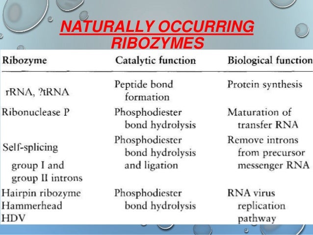 Ribozymes