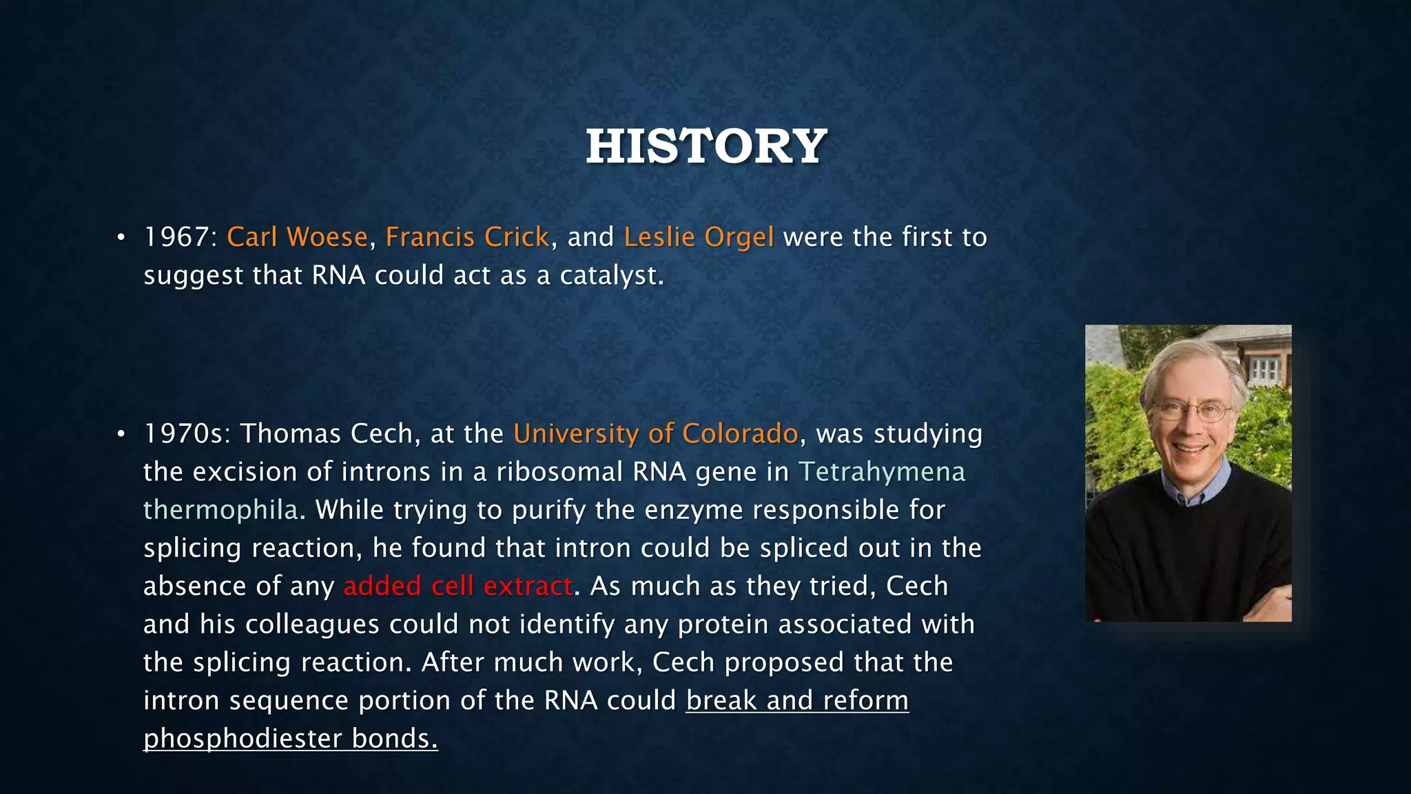 Ribozymes, types of ribozymes. | PPTX