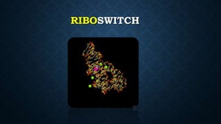 Ribozymes, types of ribozymes. | PPTX