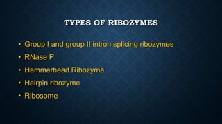 Ribozymes, types of ribozymes. | PPTX