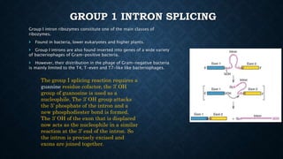 Ribozymes, types of ribozymes. | PPTX