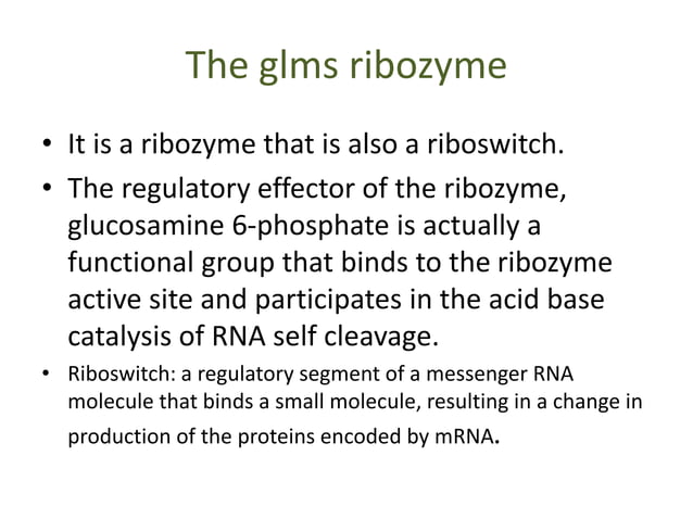 RIBOZYMES, TYPES,CHARACTERISTICS IN BIOTECHNOLOGY. | PPT