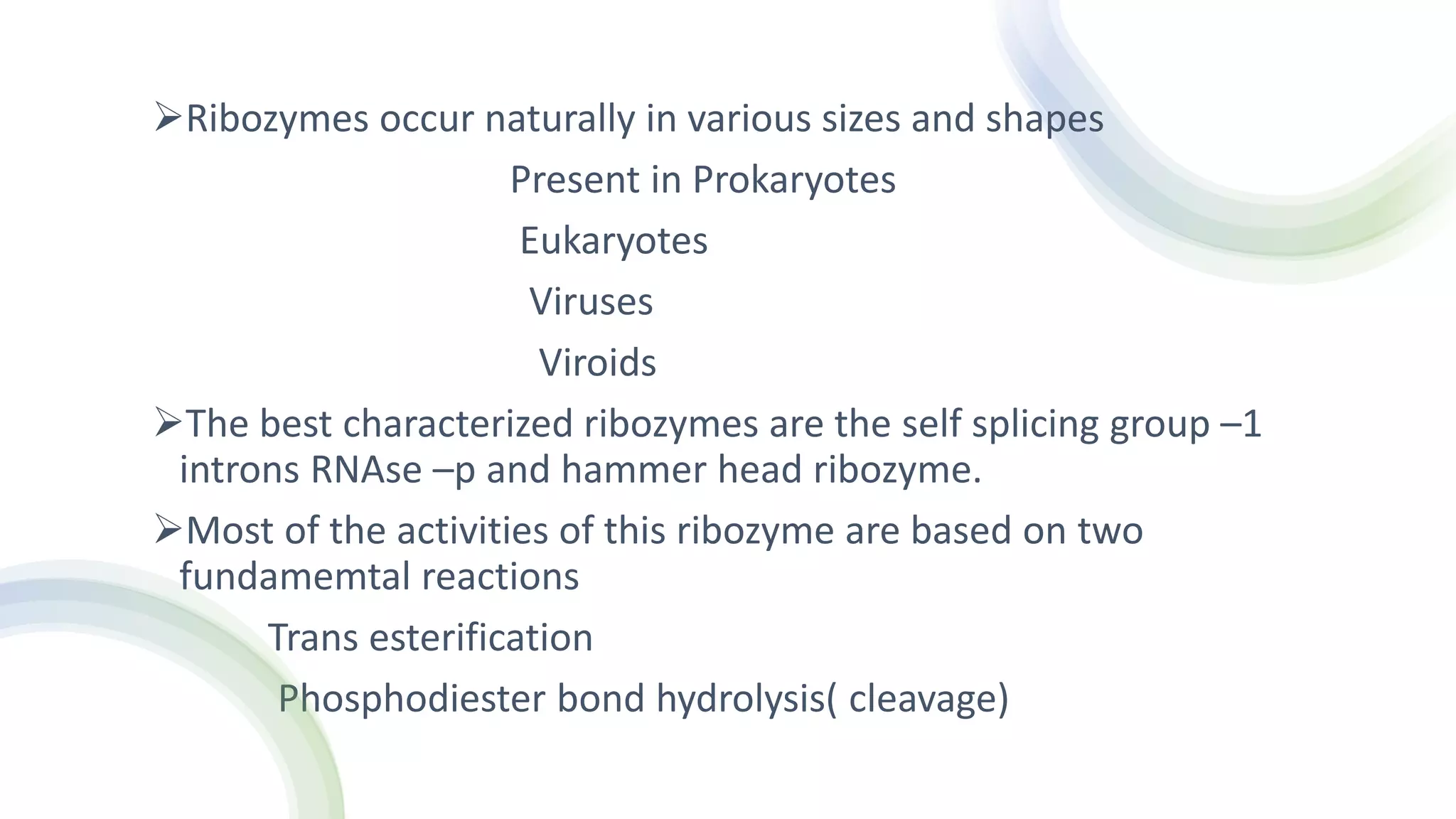 RIBOZYMES 1.pptx