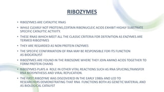 RIBOZYMES 1.pptx