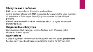 Ribozymes : Biochemistry of Ribozymes and Catalytic Antibodies | PPTX