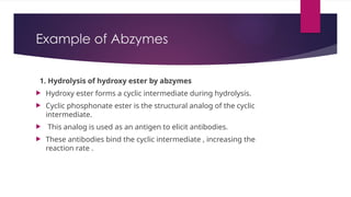 Ribozymes : Biochemistry of Ribozymes and Catalytic Antibodies | PPTX
