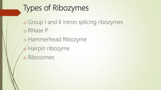 Ribozyme slide share | PPTX