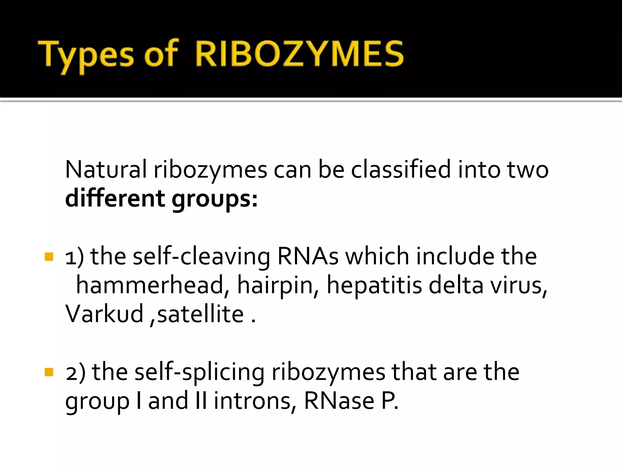 Ribozyme technology | PPTX