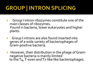 Ribozyme technology | PPTX