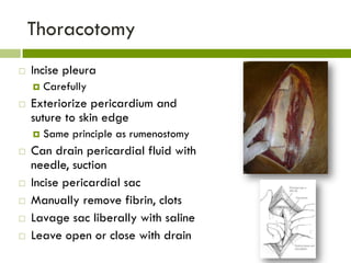 Thoracotomy in Cattle & Horses | PPTX