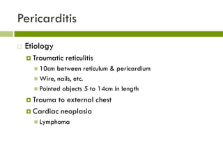 Thoracotomy in Cattle & Horses | PPTX