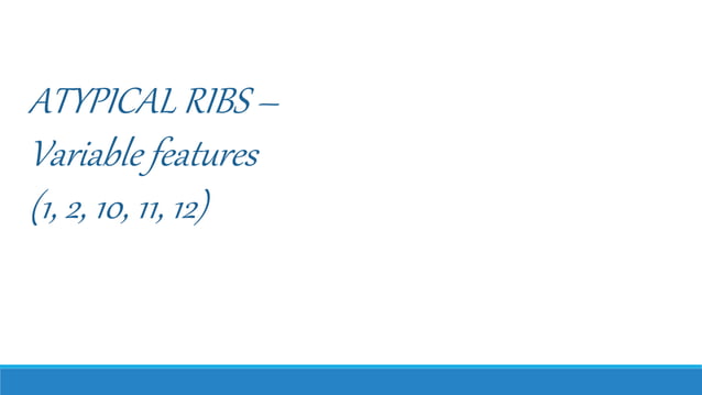 Anatomy of RIBS and the thoracic cage with function | PPTX | Death ...