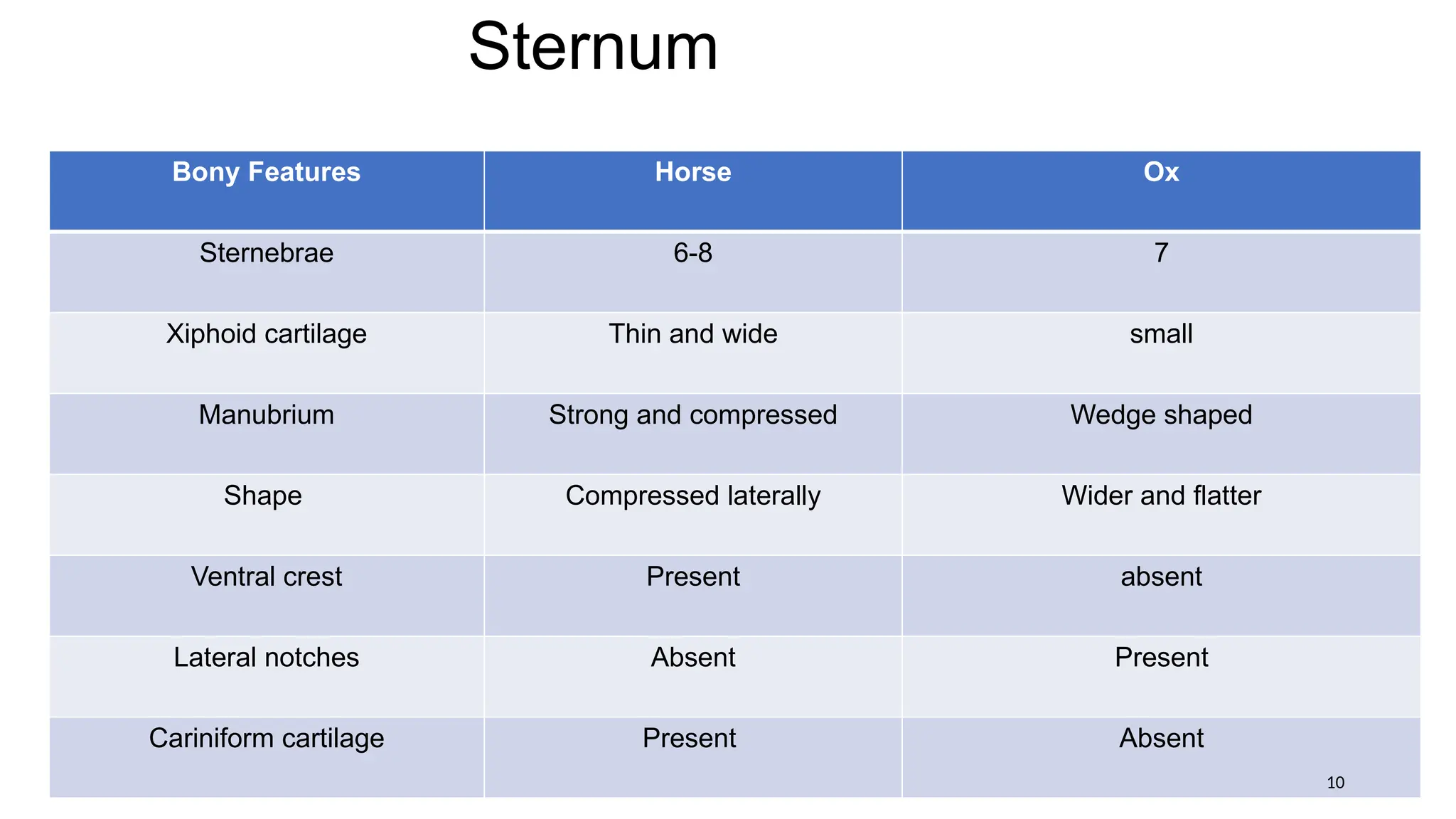 ribs, sternum anatomy veterinary. .pptx