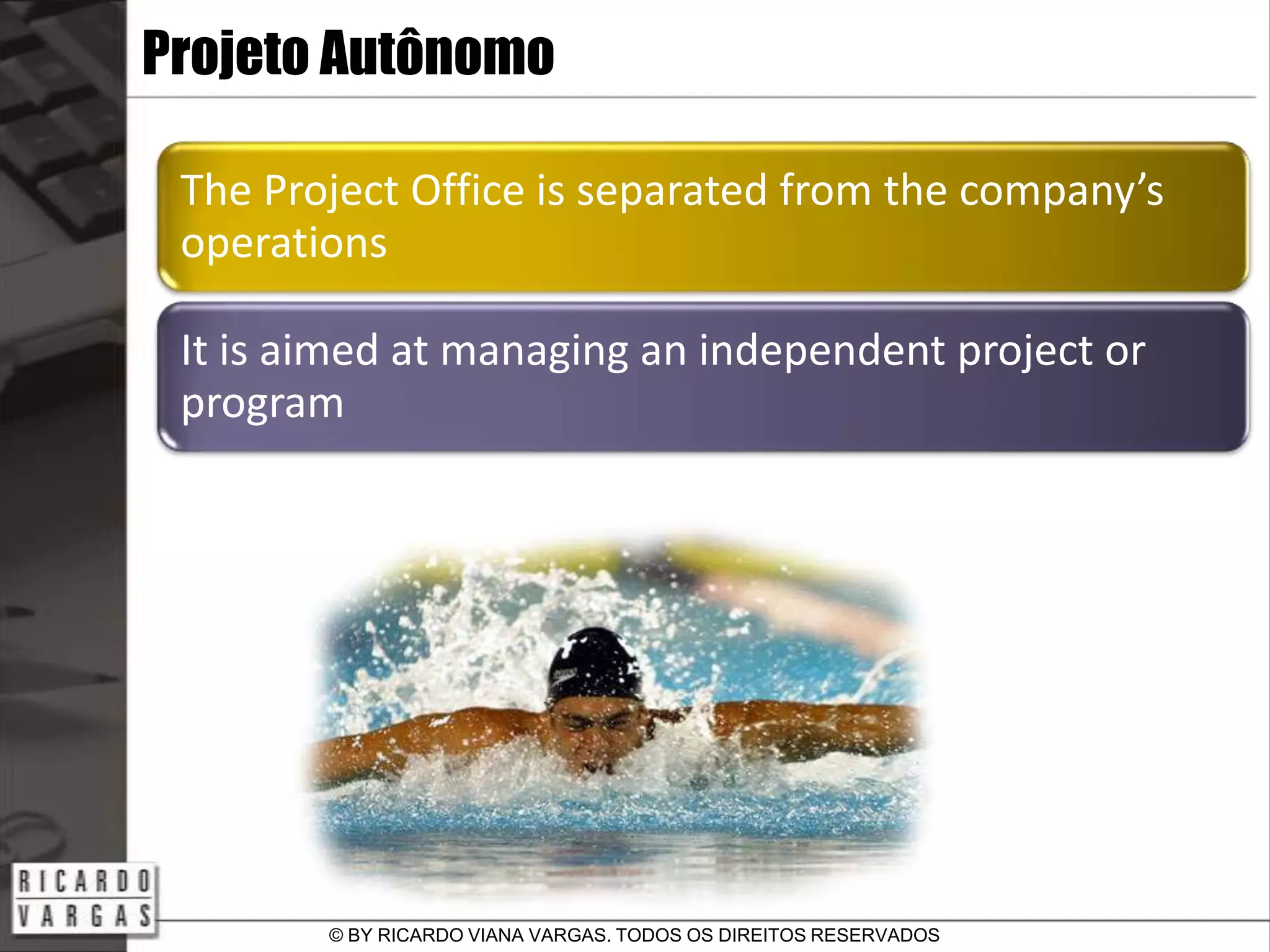 Types of Project Management Offices (PMO) | PPTX